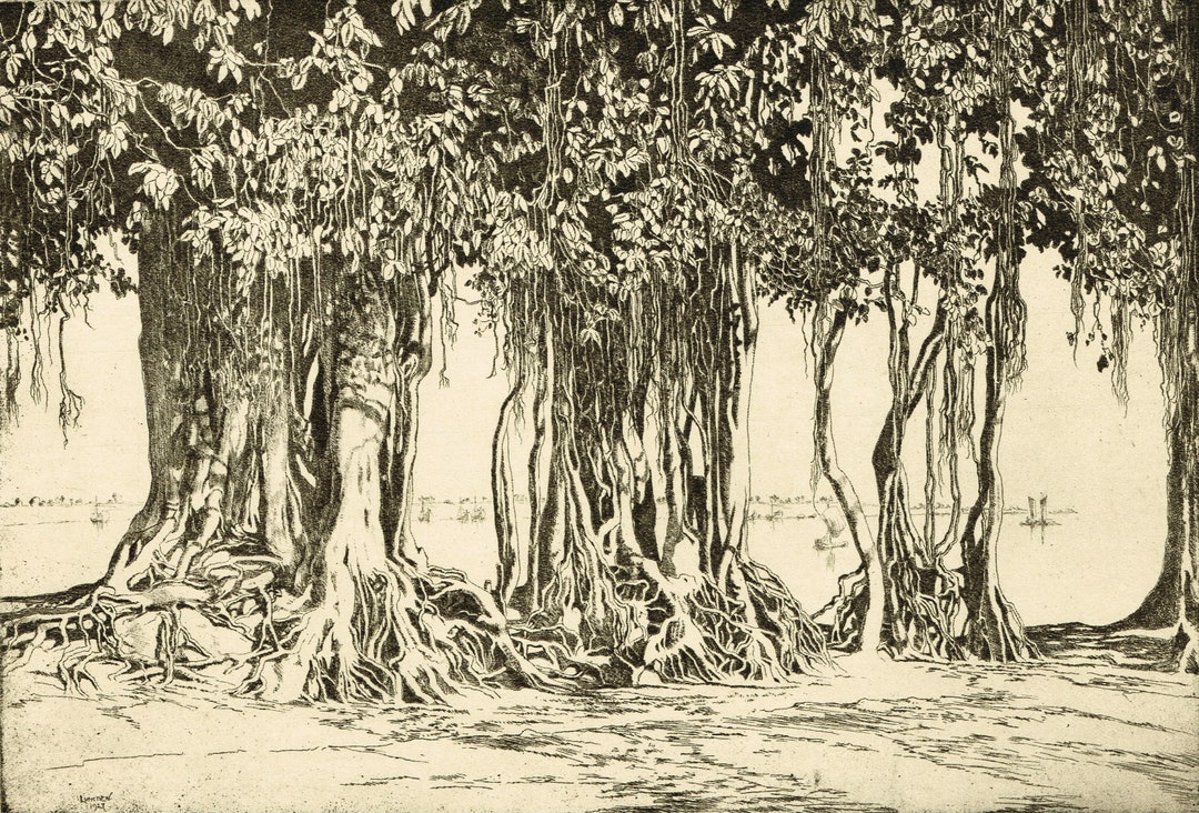Tip in Book Plate Print, the Banyan Tree by Ernest S. Lumsden - Etsy
