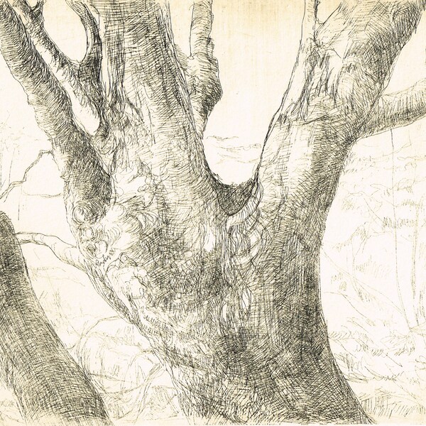Etching Print - Etsy