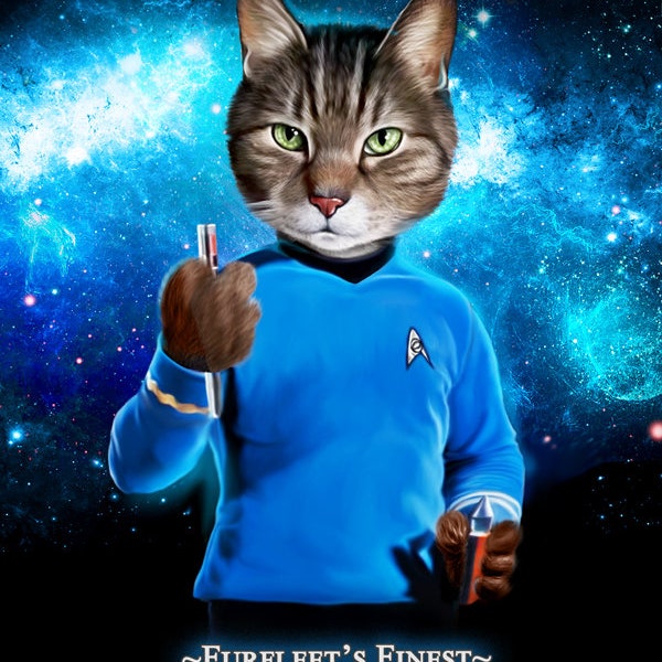 Star Trek Cat - Etsy