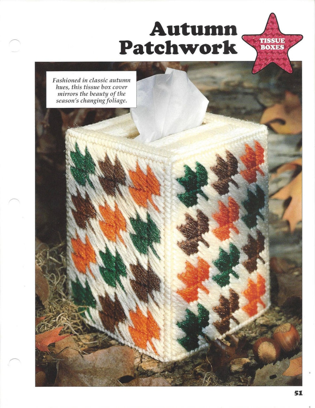 Autumn Patchwork Plastic Canvas Pattern/leisure Arts All Stars - Etsy