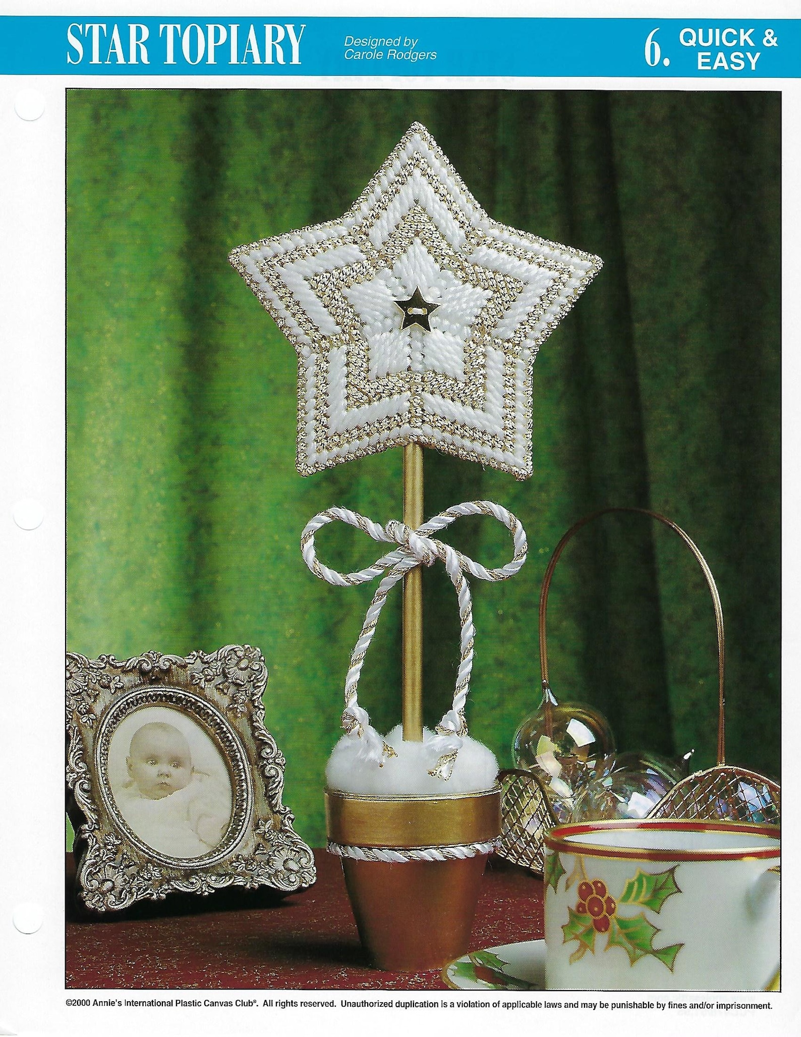 Star Topiary Plastic Canvas Pattern Christmas Decor | Etsy