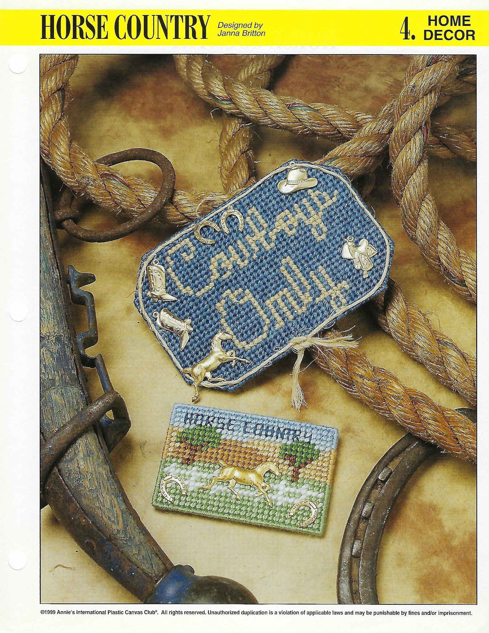Horse Country Plastic Canvas Pattern/annie's International Plastic ...