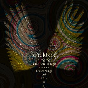 Blackbird Quote Print the Beatles Beatles Lyrics From the White Album ...
