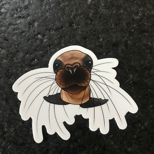 Seal Stickers - Etsy