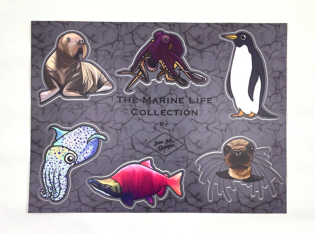 Marine Life Sticker Pack Waterproof Sticker Sheet – Alaska Country ...