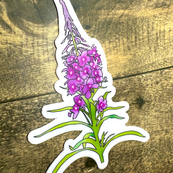 Alaskan Fireweed - Etsy