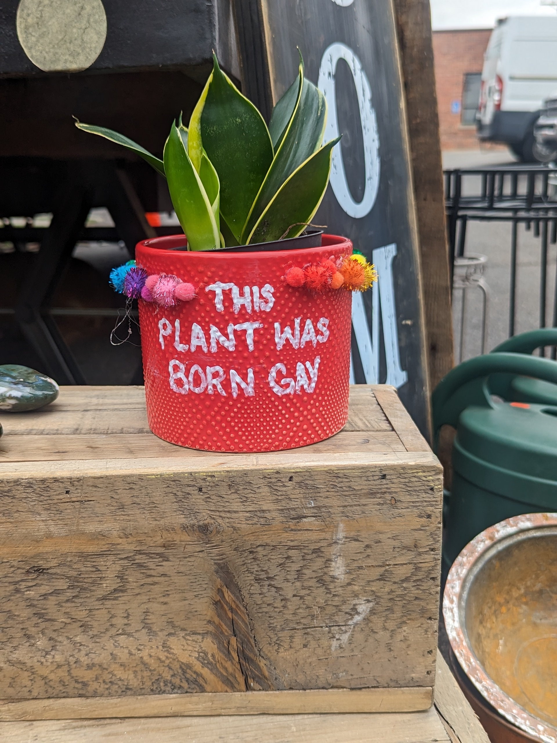 Pride Art for Gay Plants LGBTQ Rainbow Pompom this Plant Was Born Gay ...