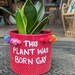 Pride Art for Gay Plants LGBTQ Rainbow Pompom this Plant Was Born Gay ...