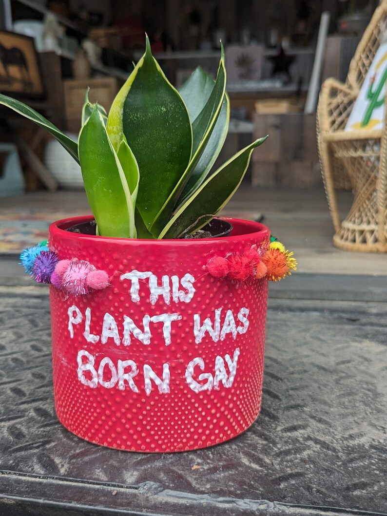 Pride Art for Gay Plants - LGBTQ Rainbow Pompom "this Plant Was Born ...