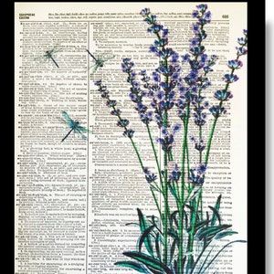 Lavender, Lavender Print, Dictionary Prints, Dictionary Wall Art ...