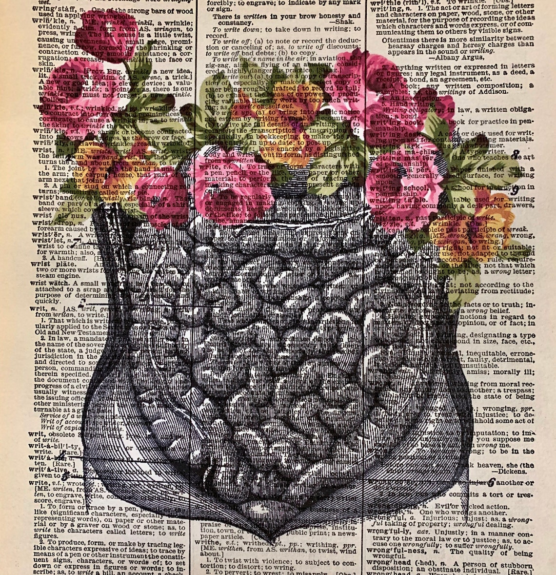 Anatomical Intestines Vintage Internal Organs Book Print - Etsy