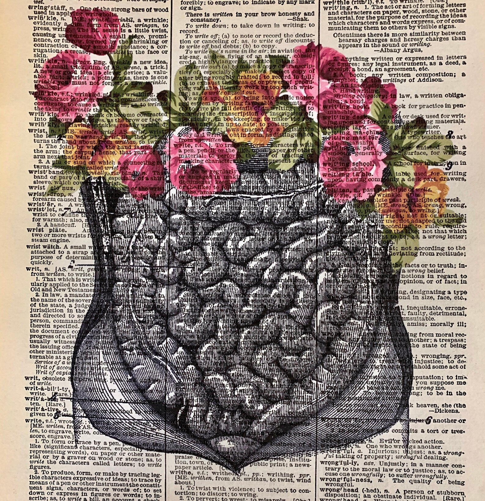 Anatomical Intestines Vintage Internal Organs Book Print - Etsy