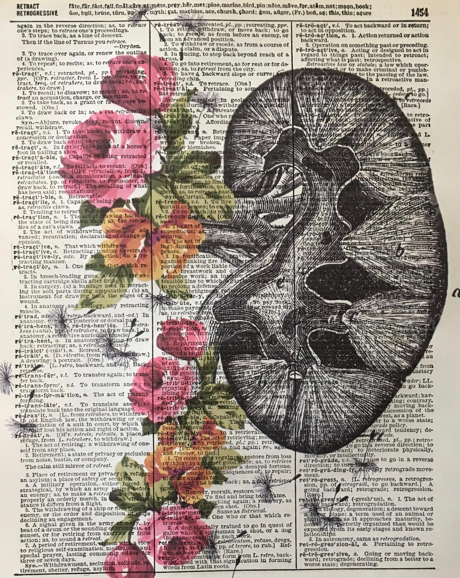 Anatomical Kidney Kidney Flower Print Medical Art Size 8x10 | Etsy
