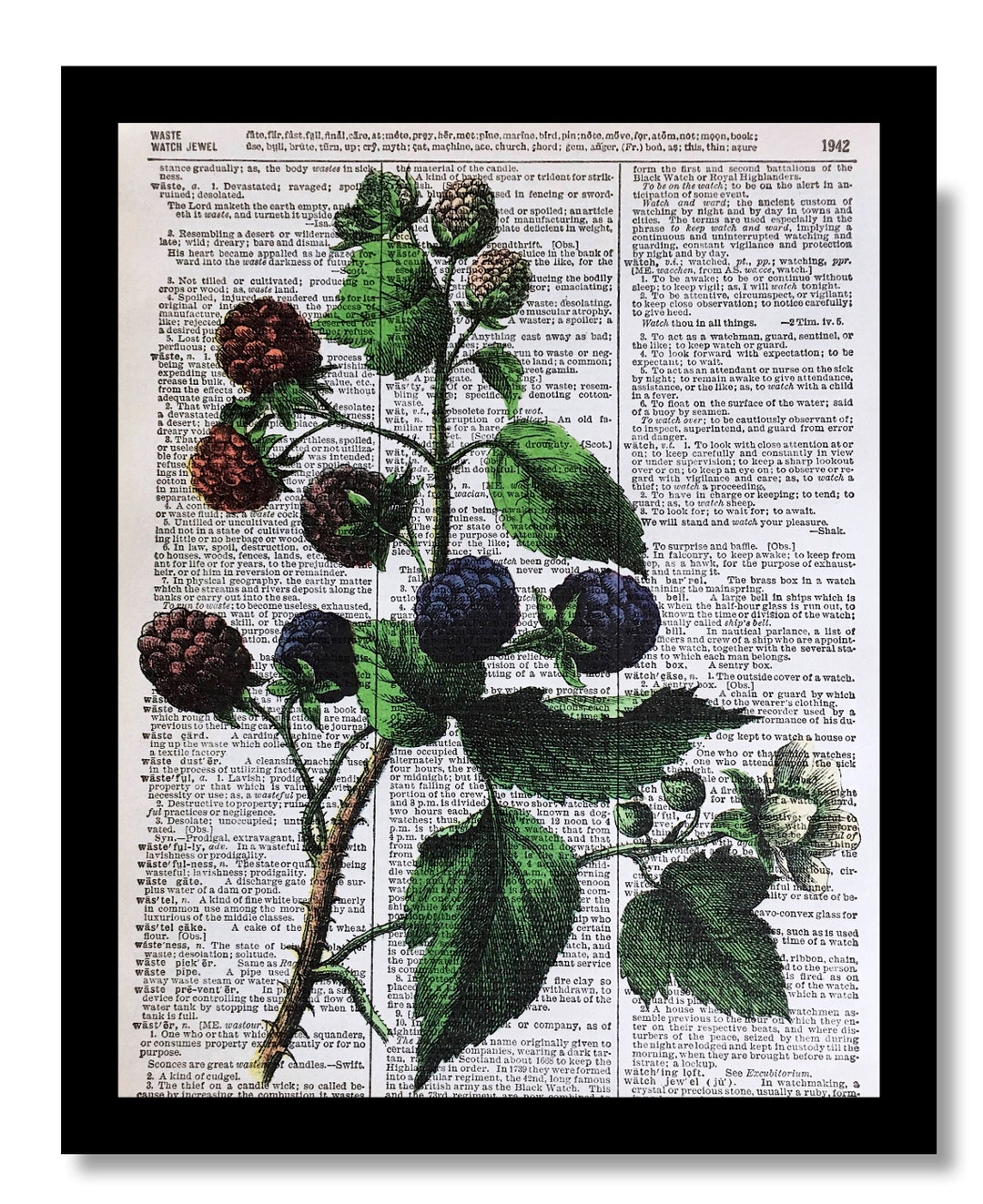 Berries, Vintage Berry Print, Vintage Fruit, Blackberry, Wild Berries ...
