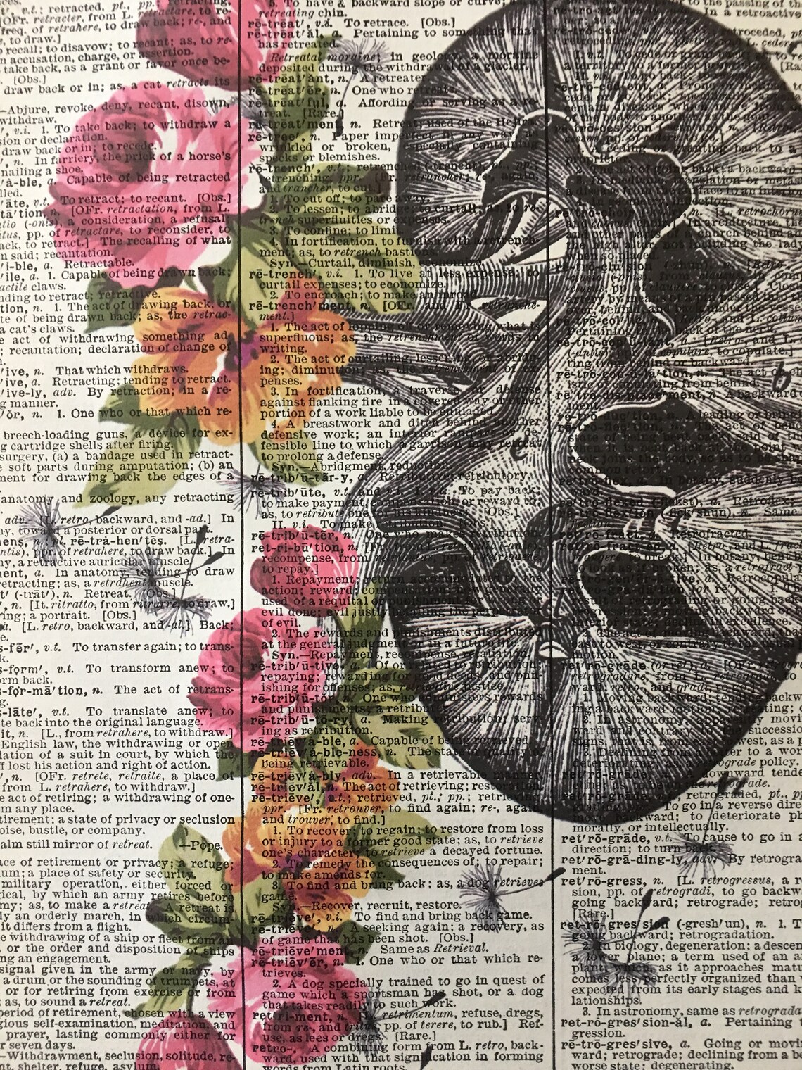 Anatomical Kidney Kidney Flower Print Medical Art Size 8x10 | Etsy