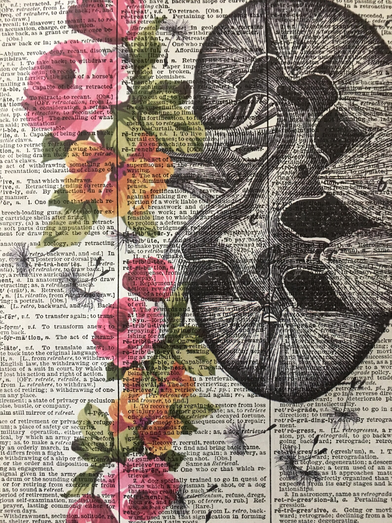 Anatomical Kidney Kidney Flower Print Medical Art Size 8x10 - Etsy