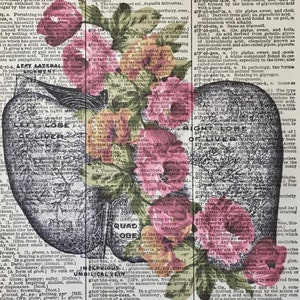 Anatomical Liver, Human Liver Print, Medical Art,8x10 Anatomical Wall ...