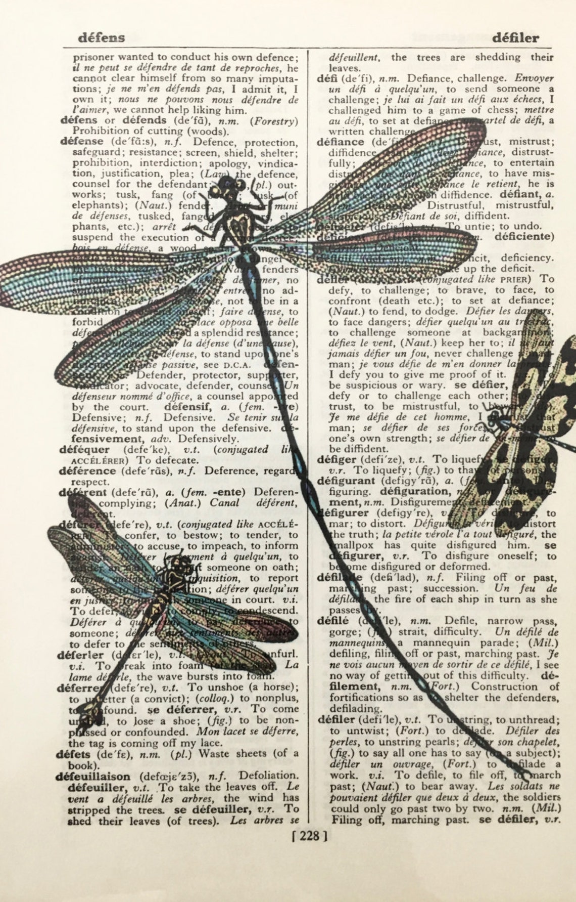 Dragonfly Art 5.5 x8 Dragonfly Printed French Dictionary | Etsy