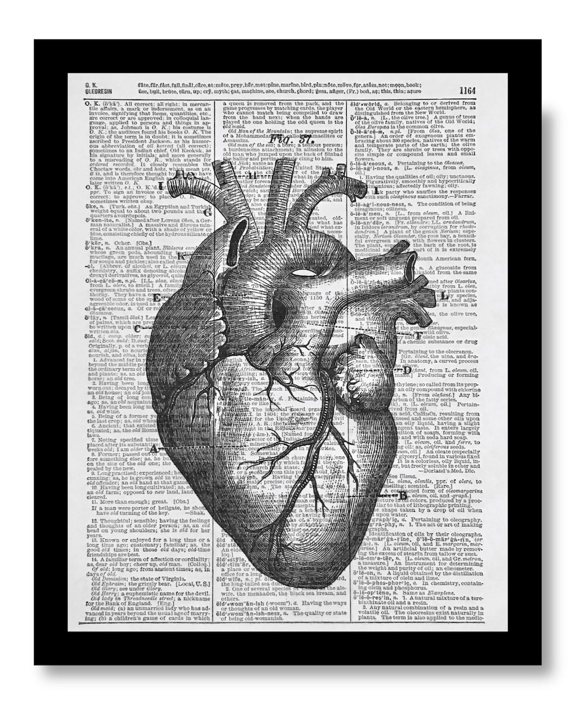 Anatomical Heart Print Dictionary Art Dictionary Art Print | Etsy
