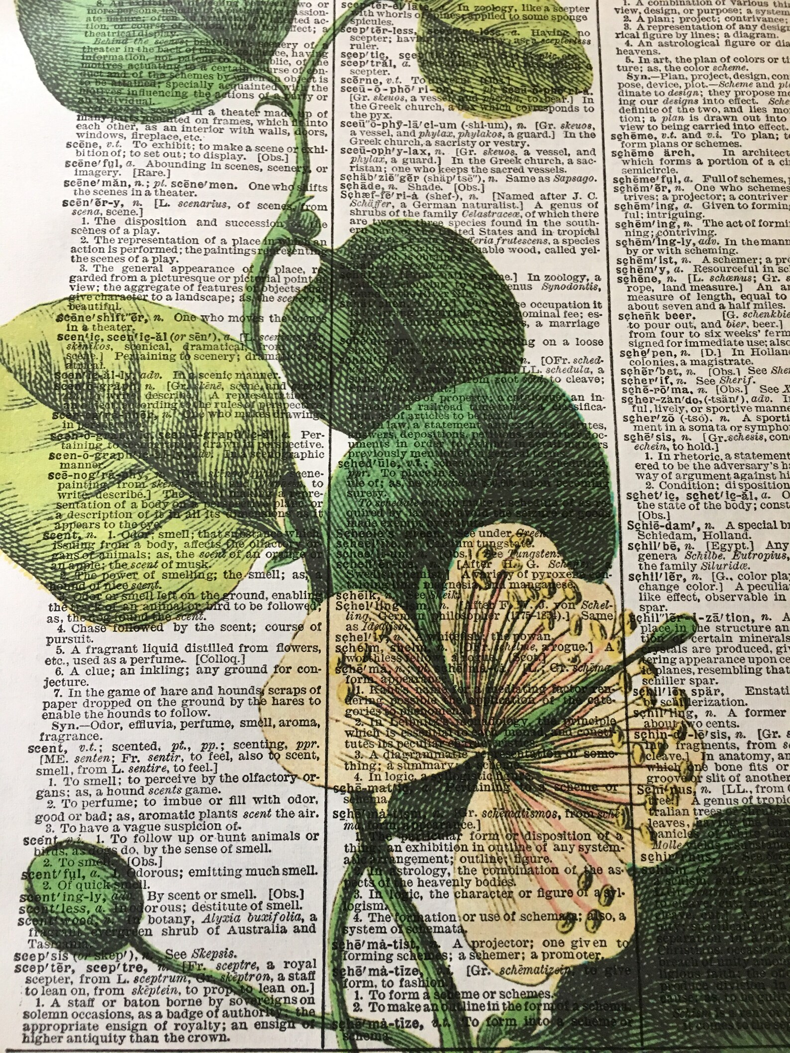 Botanical Prints Botanical Art Botanical Flowers Vintage - Etsy