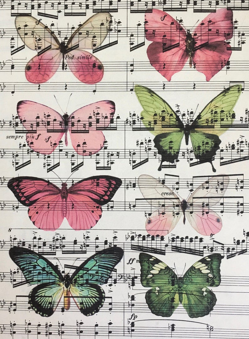 Butterflies Collage, Pink and Green Butterflies Printed on Chopin Ro ...