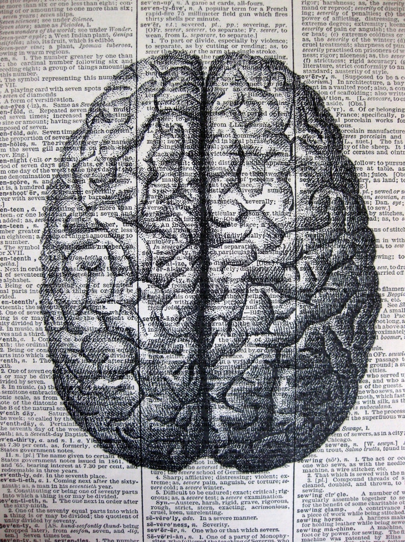 Anatomy Art Anatomical Brain Gray Matter Dictionary Print - Etsy