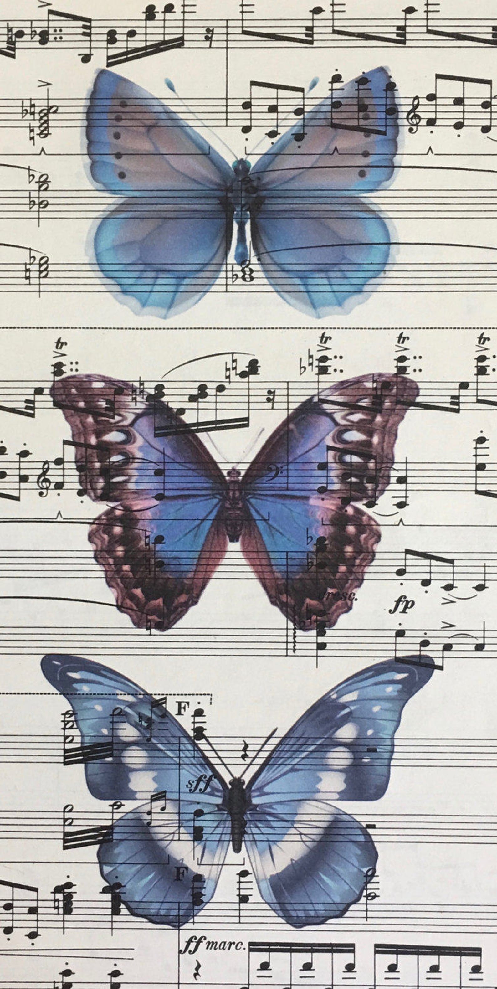 Butterfly Print Blue Butterfly Music Sheet Print Music - Etsy