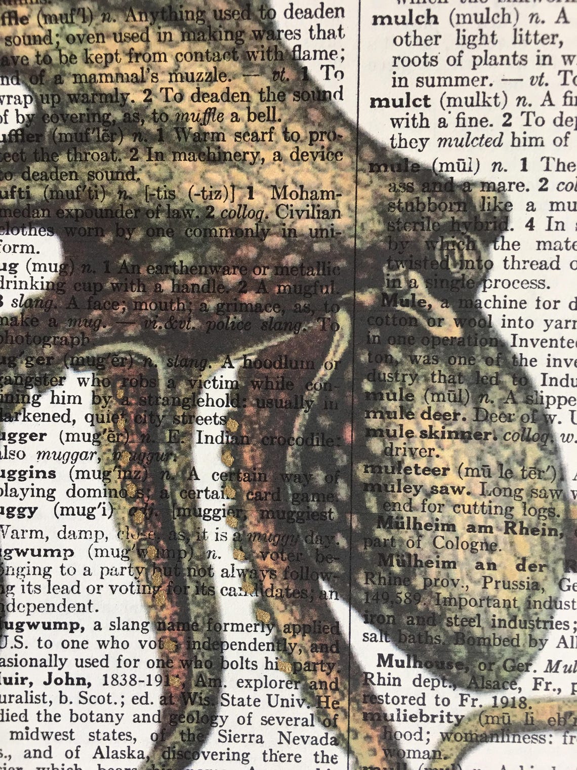 Octopus Art Octopus Prints Marine Life Print Octopus - Etsy