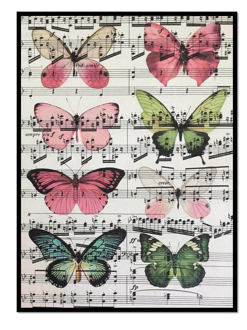 Butterflies Collage, Pink and Green Butterflies Printed on Chopin Ro ...