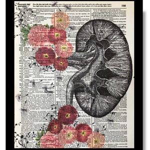 Anatomical Flower Kidney, Kidney Flower Print, Medical Print ...