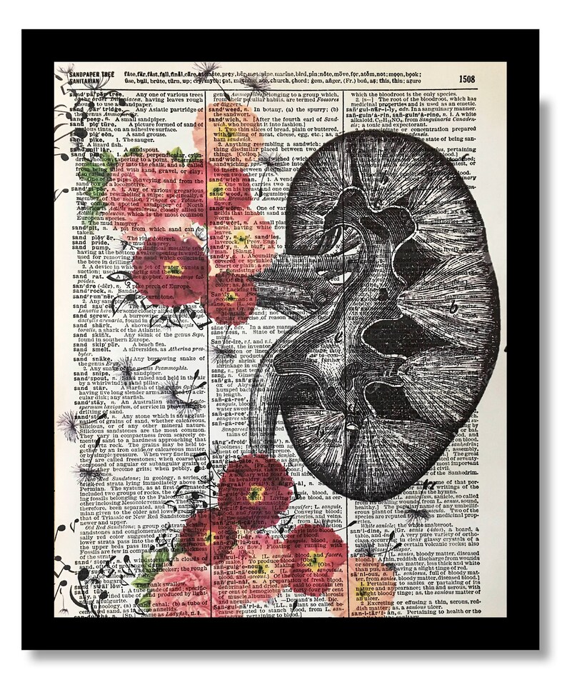 Anatomical Flower Kidney, Kidney Flower Print, Medical Print ...