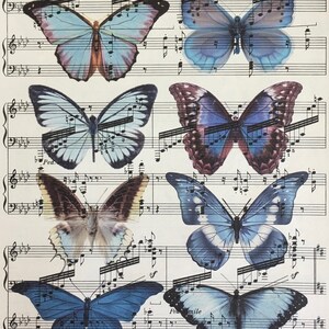 Butterfly Collage,blue Butterflies,music Sheet Print, Chopin Music ...