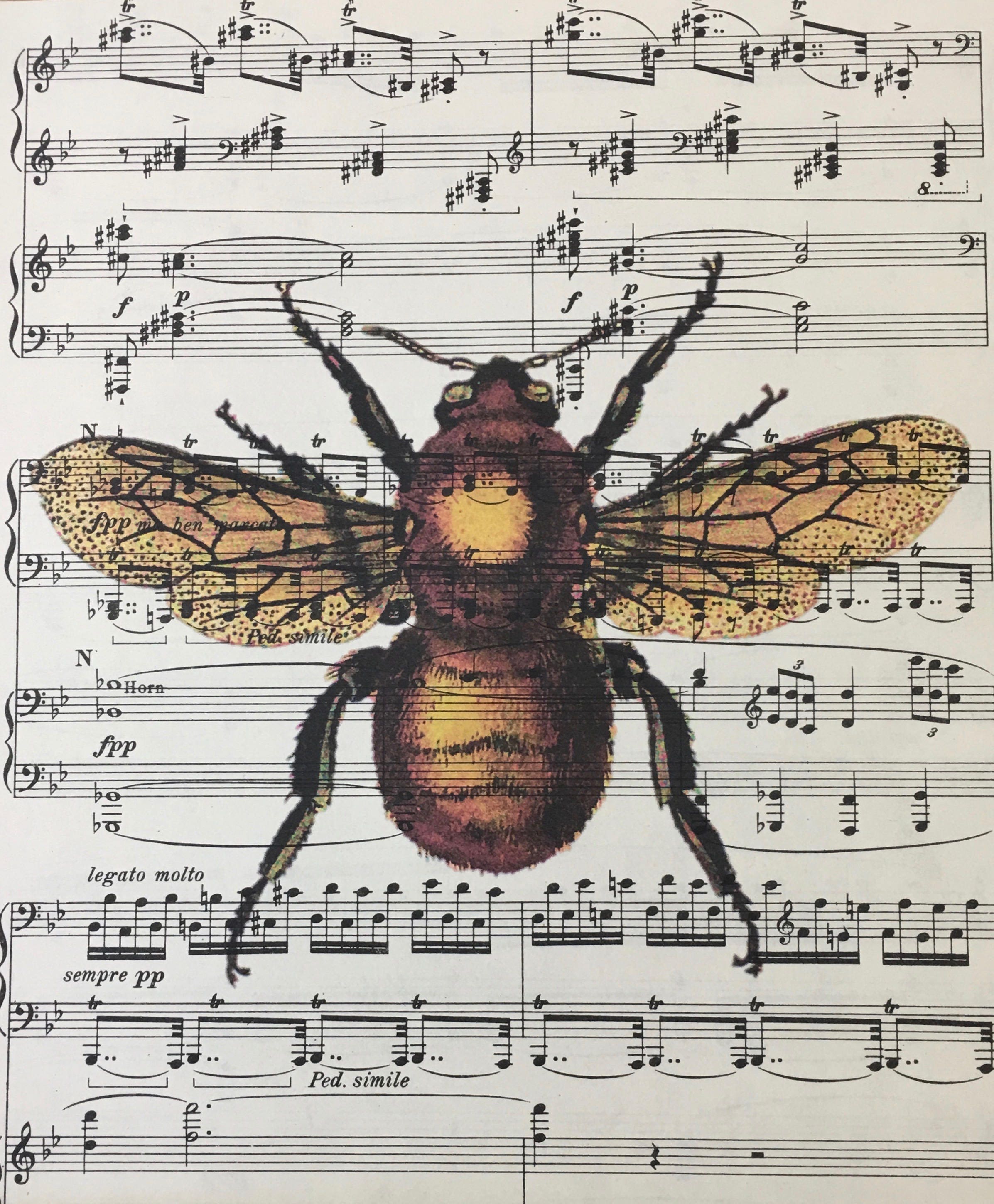 Honey Bee Art Print Bees art print Bees Vintage Bee | Etsy