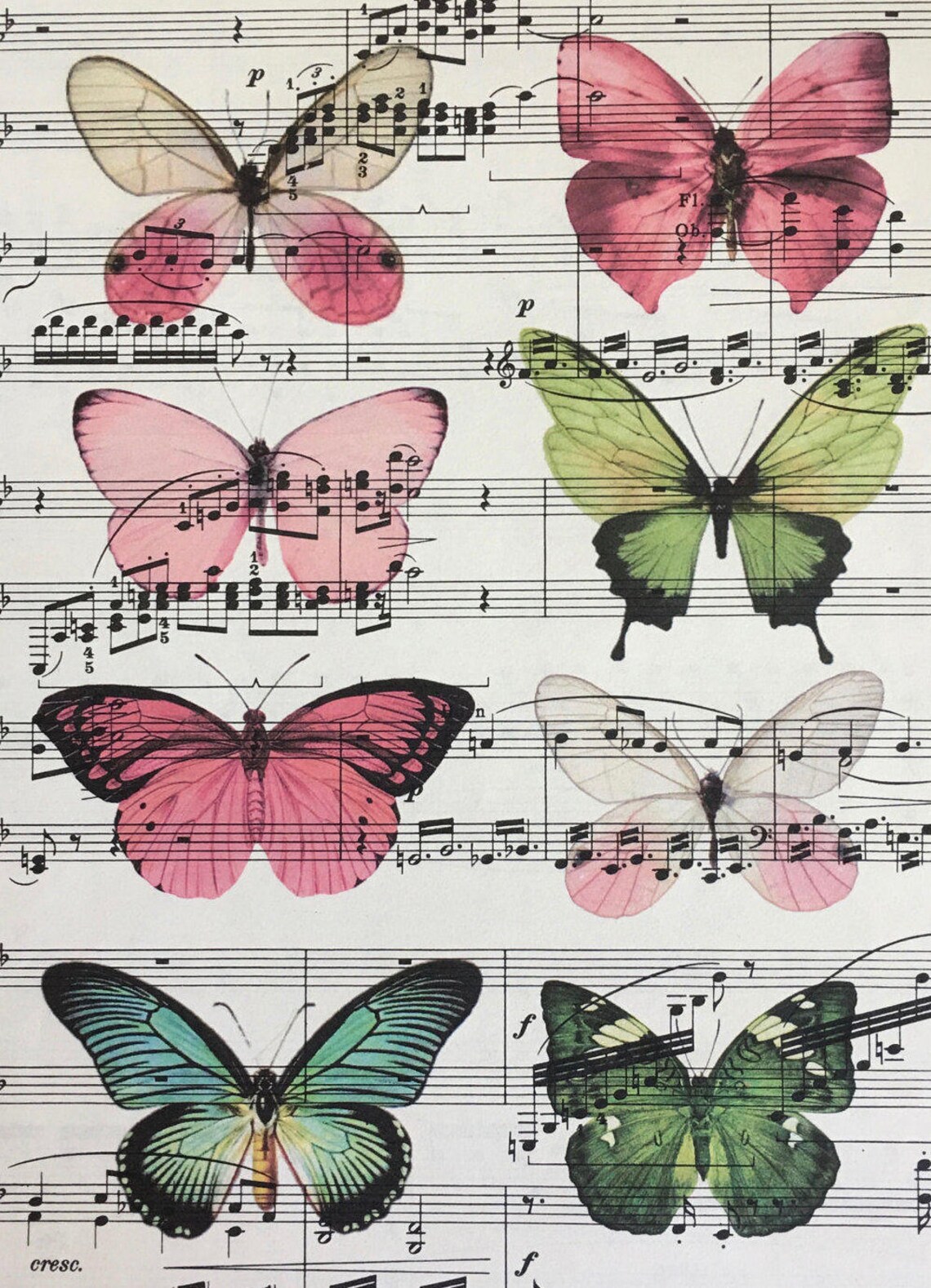 Butterflies Collage, Pink and Green Butterflies Printed on Chopin Ro ...