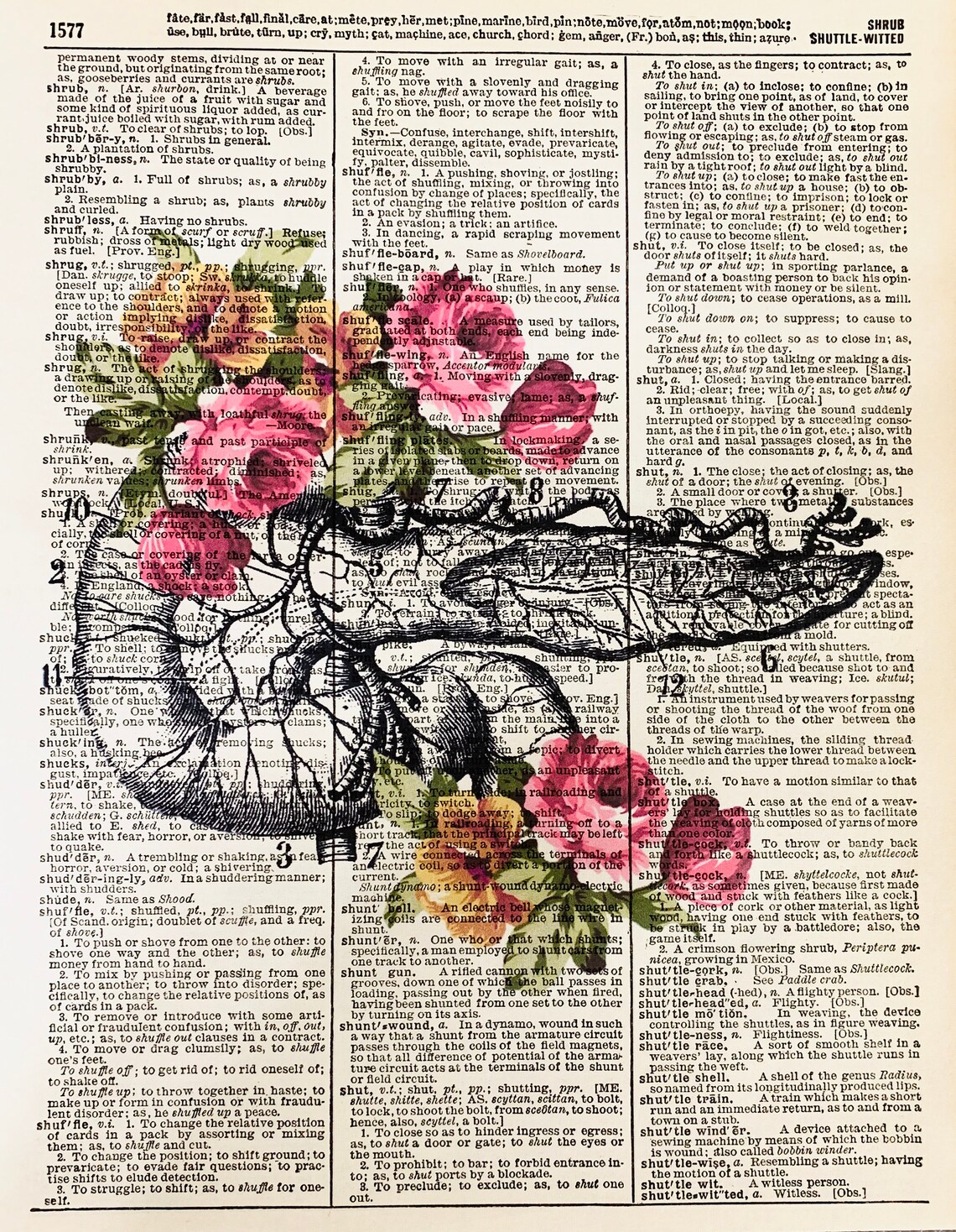 Anatomical Pancreas Vintage Pancreas Organ Book Print - Etsy