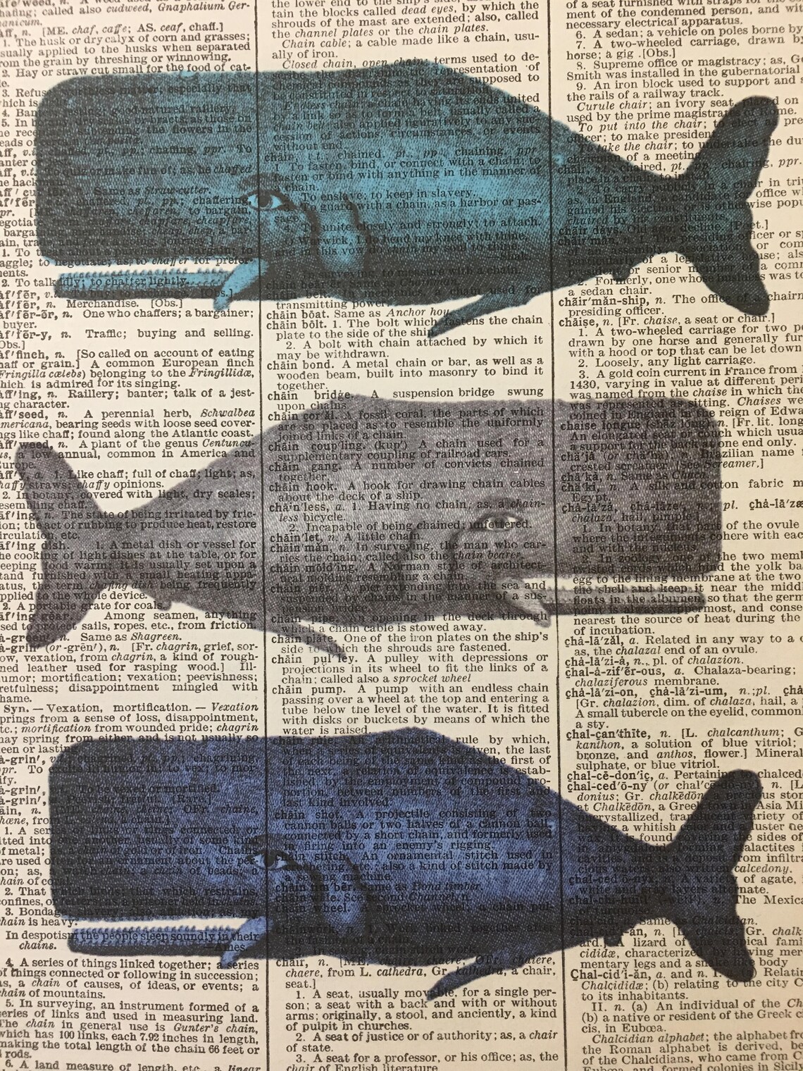 Whale, Blue Whale Art, Blue Art Prints, Whales, Whale Prints, Blue ...