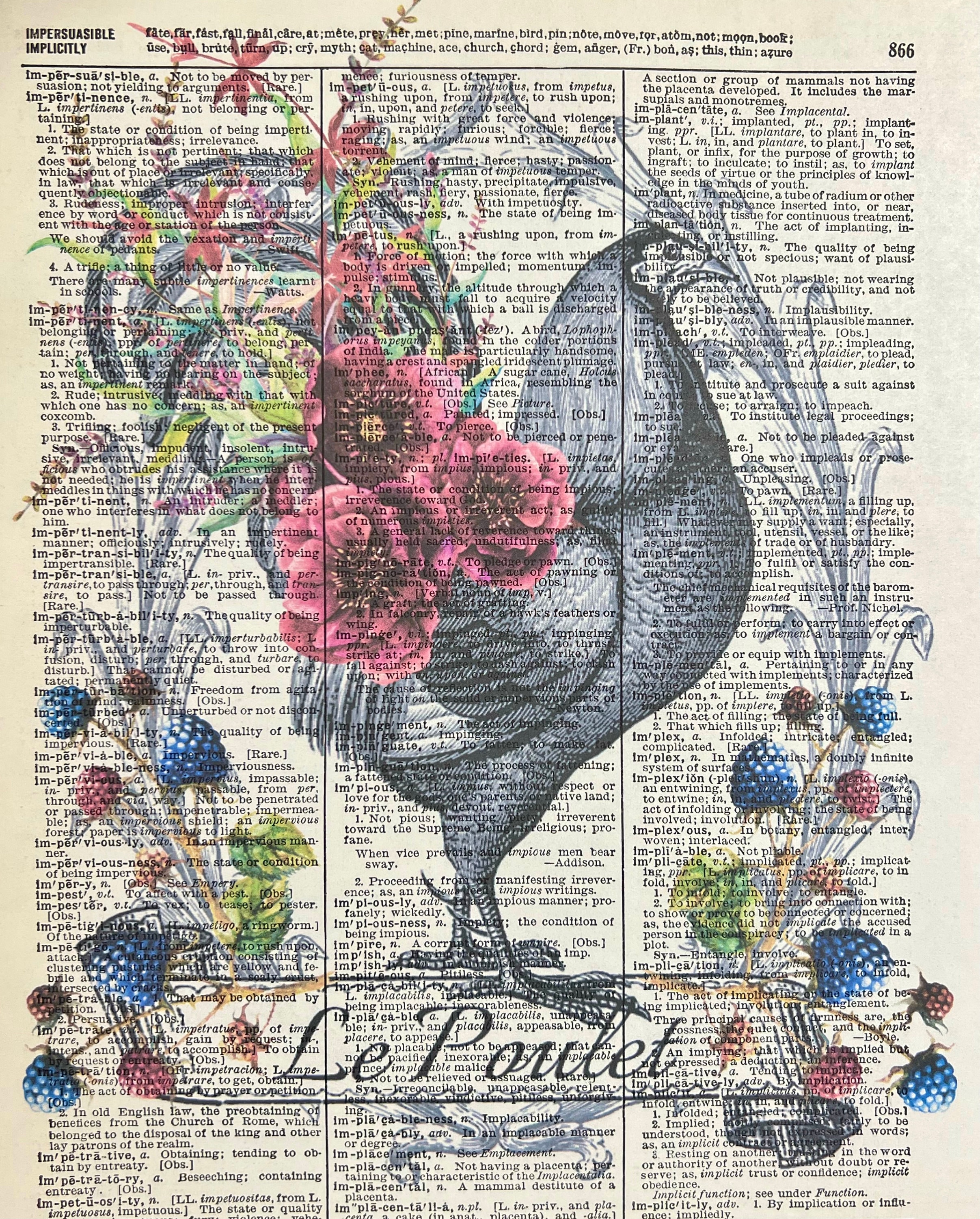 Rooster Guitar Chords