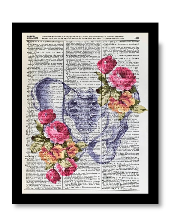 Anatomy Art Pelvic Print Anatomical Pelvic Flower Pelvic | Etsy