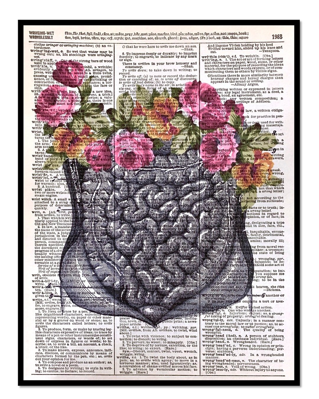 Anatomical Intestines, Vintage Internal Organs Book Print, Anatomy ...