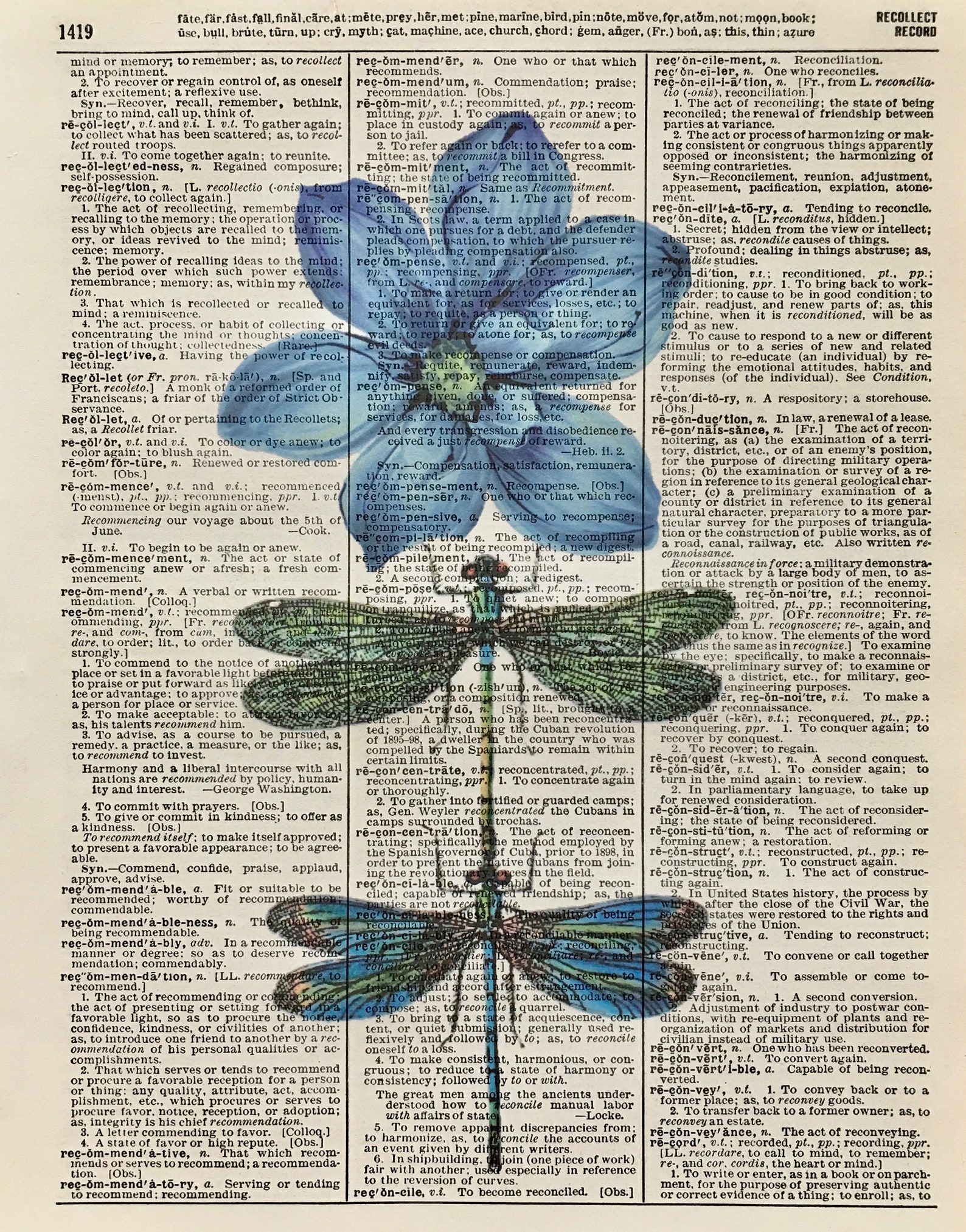 Dragonfly Dragonflies Dragonfly Print Dragonfly Wall Print - Etsy