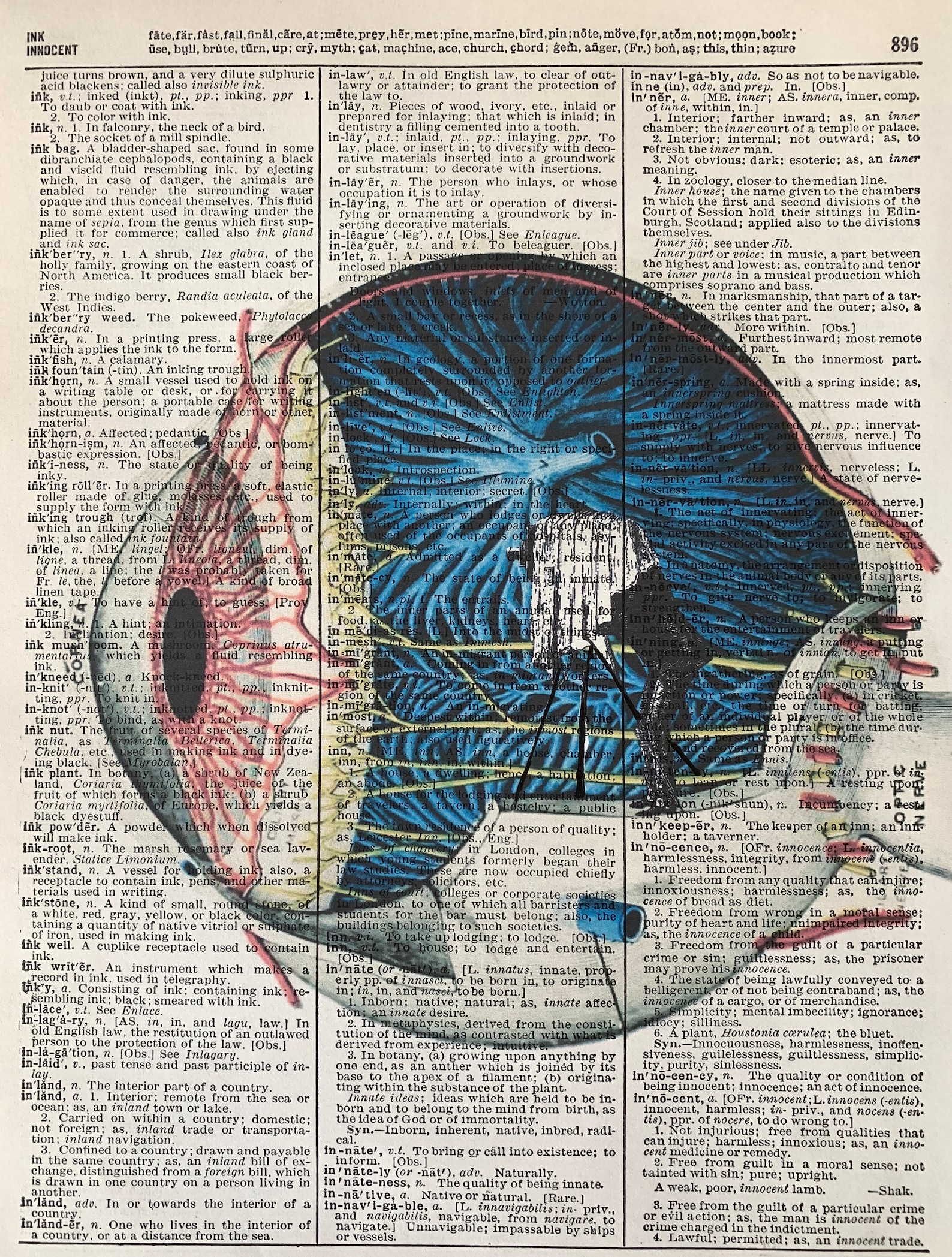 Antique EYE Print , Ophthalmology Print, Eyeball Humor, Eye Doctor Art ...