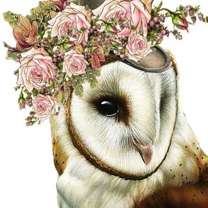 Barn Owl Print, Beautiful Barn Owl, Crown of Pink Roses, Delicate Pink ...