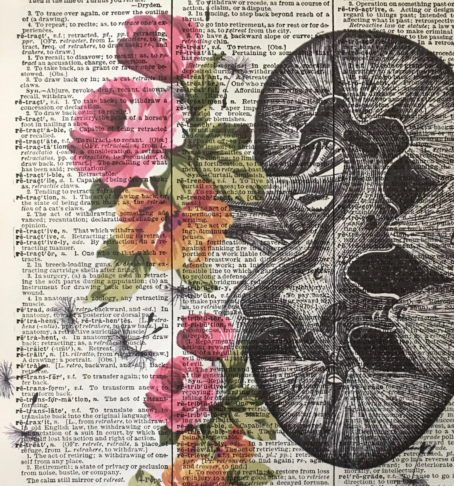 Anatomical Kidney Kidney Flower Print Medical Art Size 8x10 | Etsy