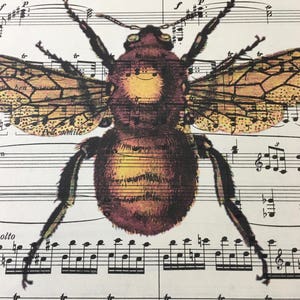 Honey Bee Art Print, Bees Art Print, Bees, Vintage Bee Prints, Bee ...