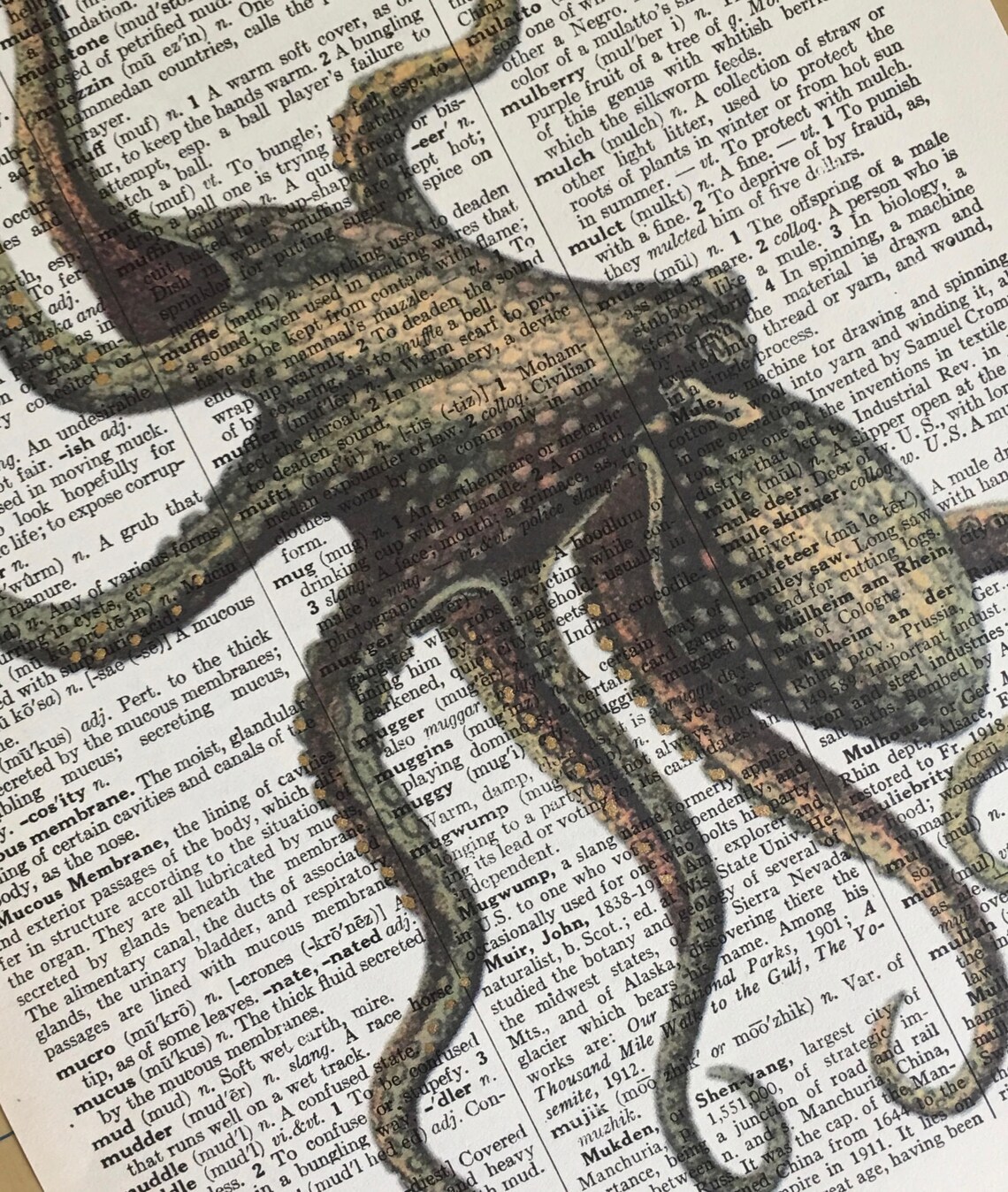 Octopus Art Octopus Prints Marine Life Print Octopus | Etsy