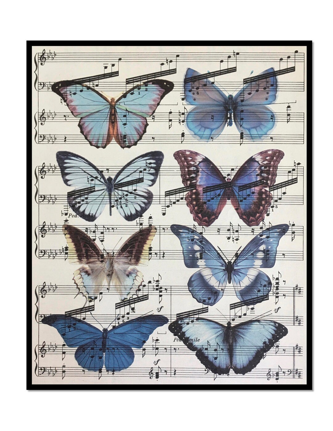 Butterfly Collage,blue Butterflies,music Sheet Print, Chopin Music ...