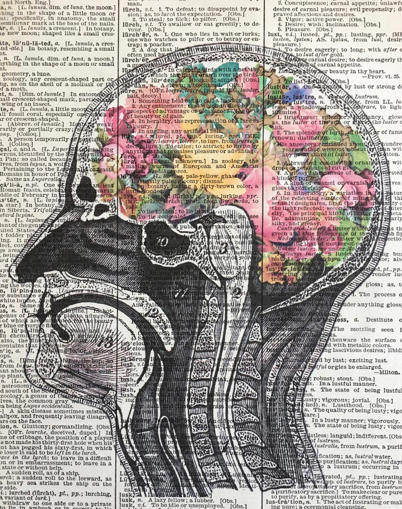 Anatomy Art Human Brain With Flowers Anatomy Anatomy Gift - Etsy