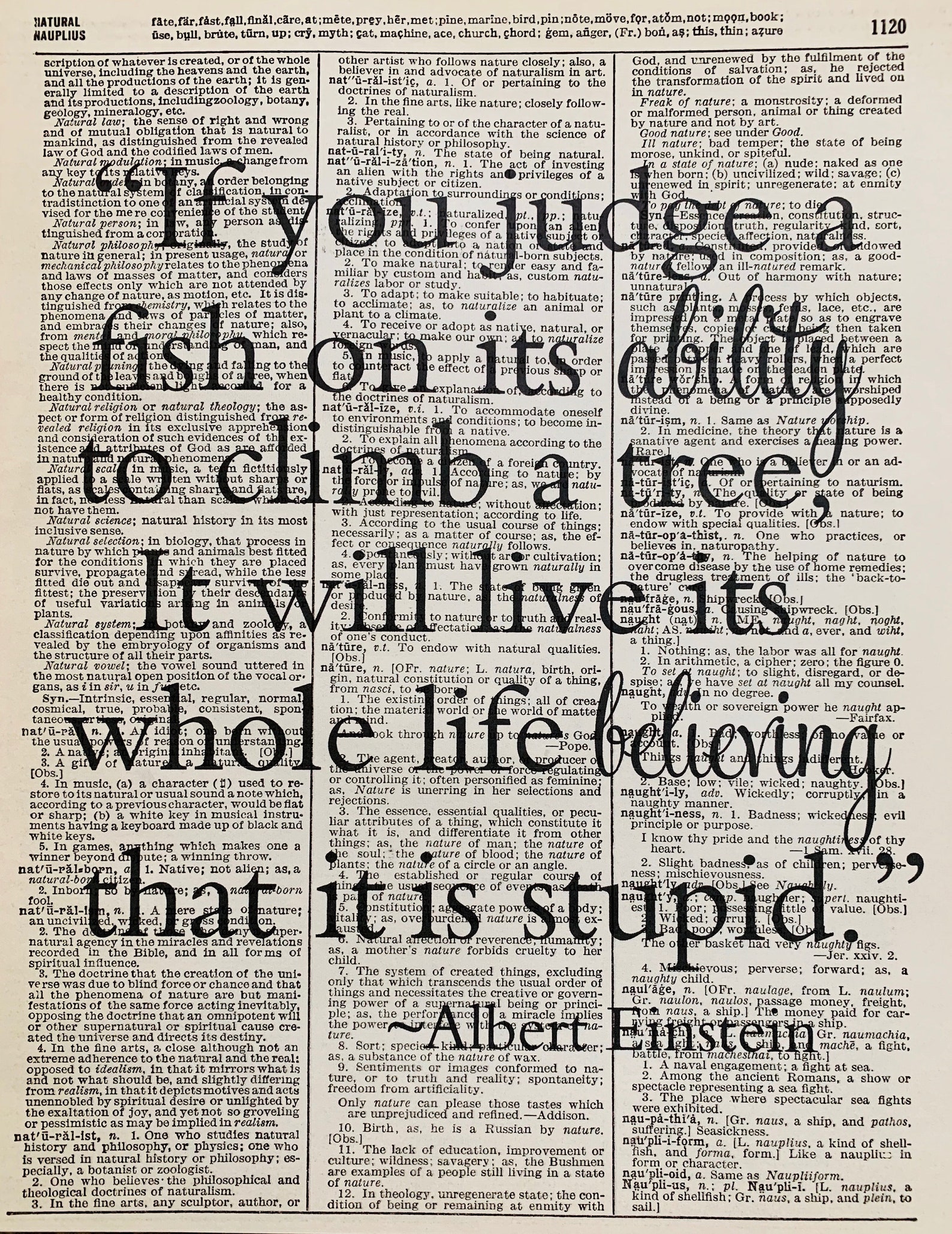 Albert Einstein Quote If you Judge a fish Einstein Quotes | Etsy