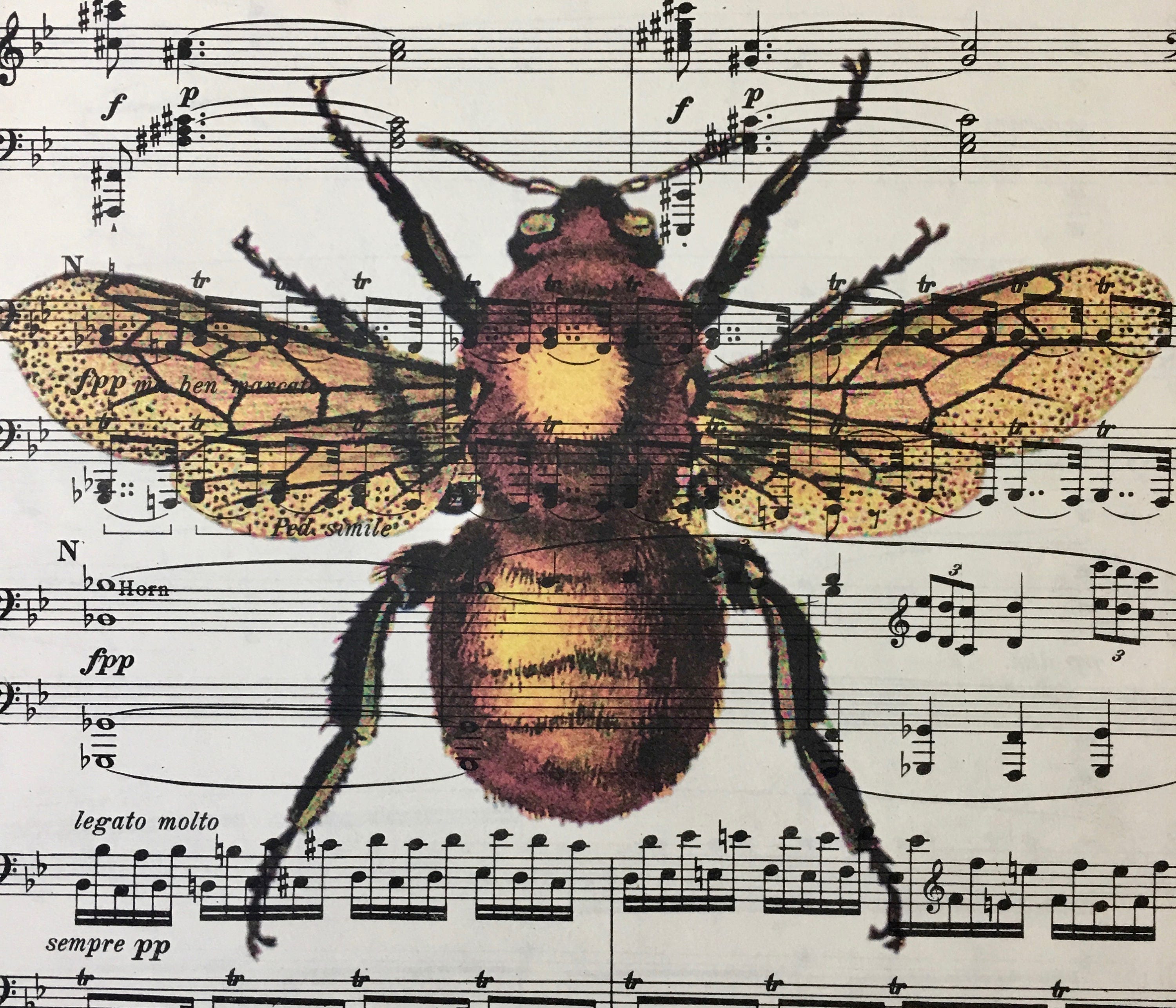 Honey Bee Art Print Bees art print Bees Vintage Bee | Etsy