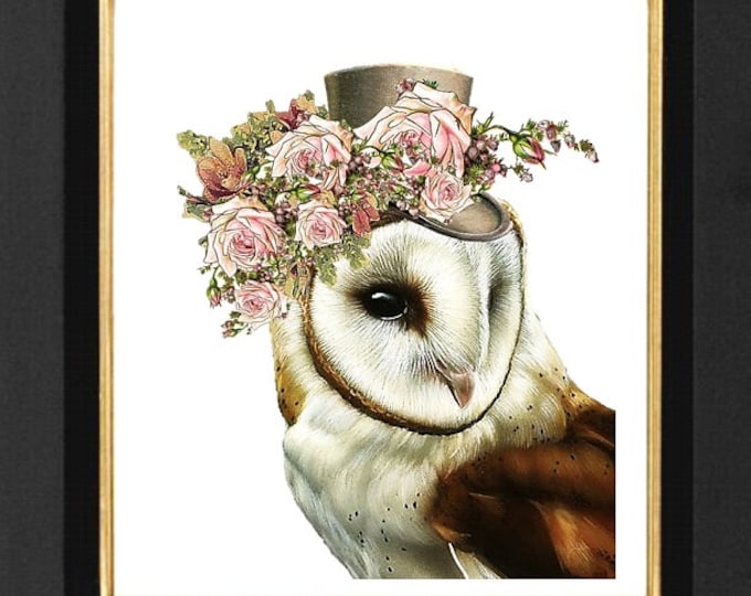 Barn Owl Print, Beautiful Barn Owl, Crown of Pink Roses, Delicate Pink ...